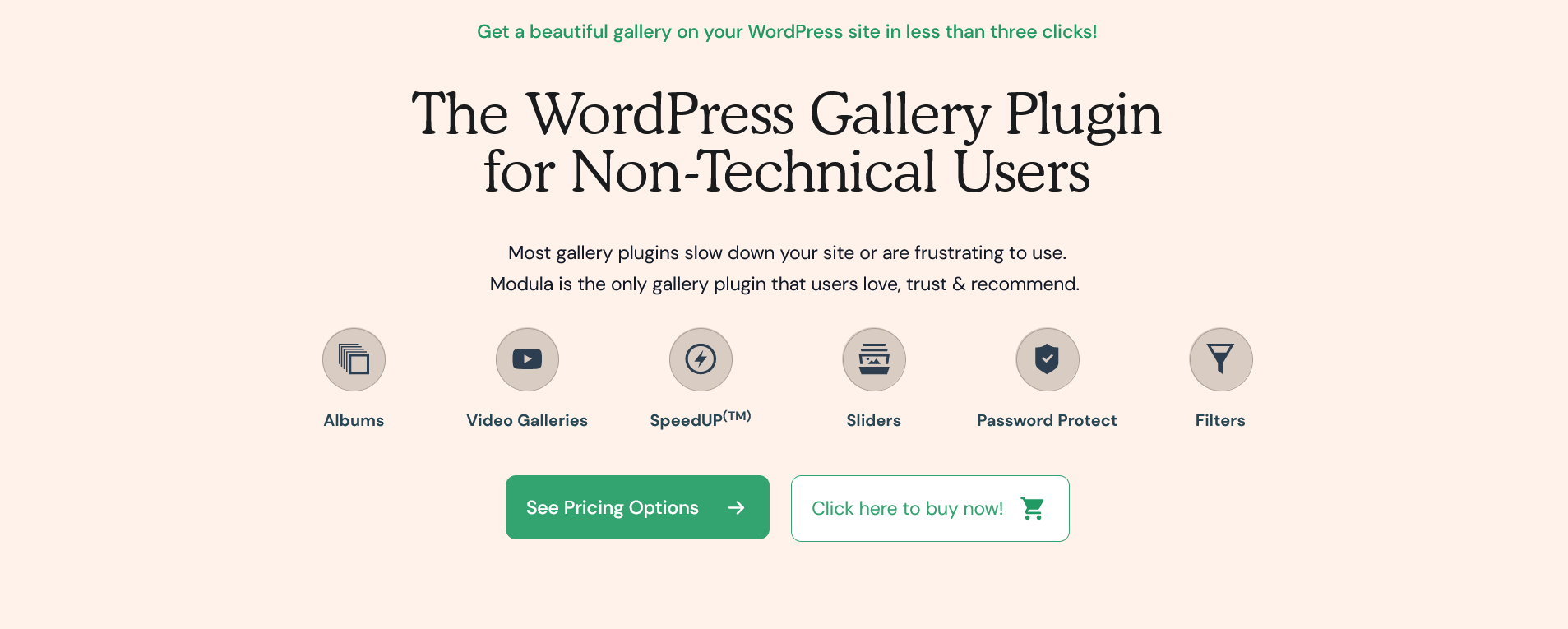 دانلود افزونه وردپرس Modula PRO + افزودنی ها